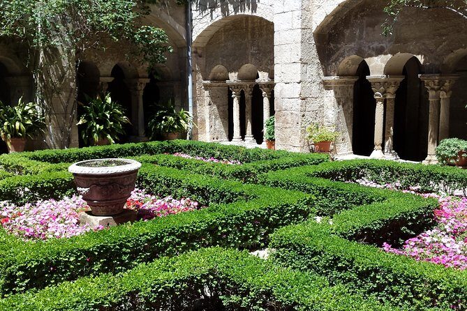 Half-Day Van Gogh Tour of Provence from Avignon - A Deep Dive into the Tour Experience