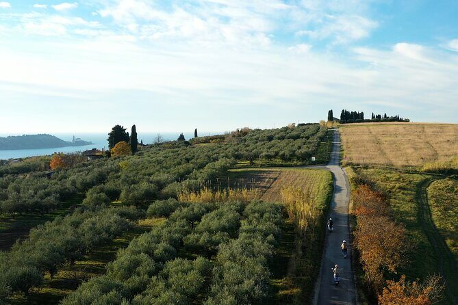 Half Day Vespa Countryside Tour and Tastings in Istria - Who Will Love This Tour?