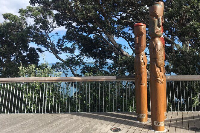 Half-Day Volcano Tour from Auckland - An In-Depth Look at the Volcano Tour Itinerary