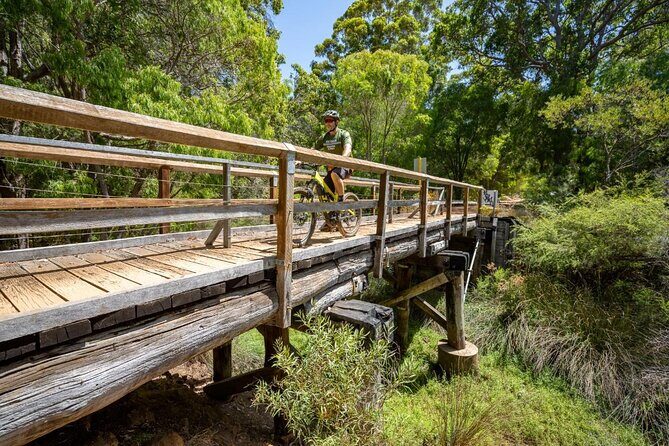 Half Day Wadandi Track Scenic E-Bike Tour - The Sum Up: Who Will Love This Tour?