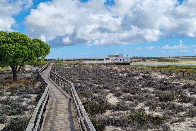 Half Day Walking Tour in Ria Formosa Nature Park - Key Points