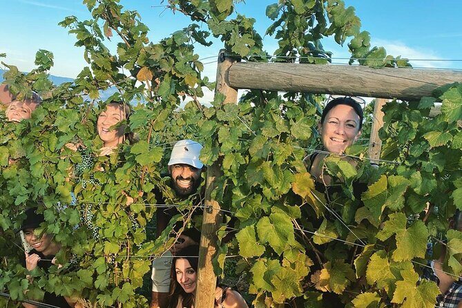 Half-Day West Kelowna Afternoon Wine tour - The Authentic Experience: What Travelers Are Saying