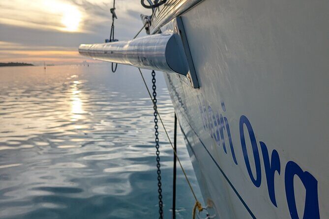 Half day whale watching - Without launch - Price & Value Analysis