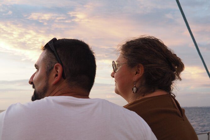 Half day whale watching - Without launch - The Sum Up