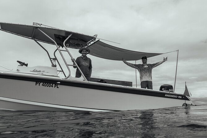 Half day Whales watching PRIVATE group - Who Is This Tour Best For?