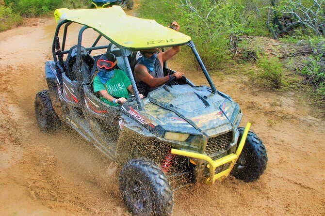 Half-day Wild Desert Polaris Razor UTV Tour - Authentic feedback from past travelers