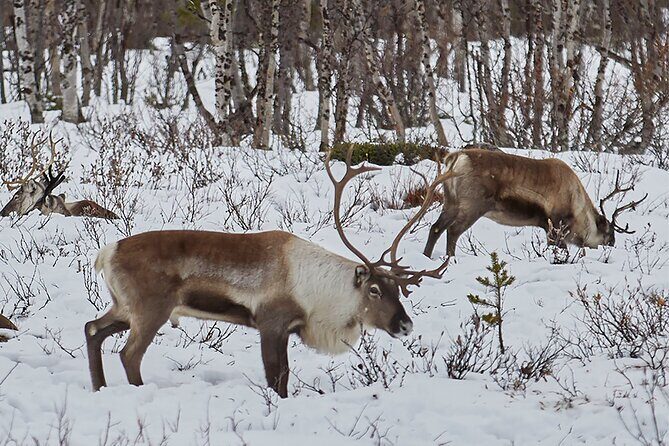 Half day Wildlife and Nature Photography - Who Will Love This Tour?