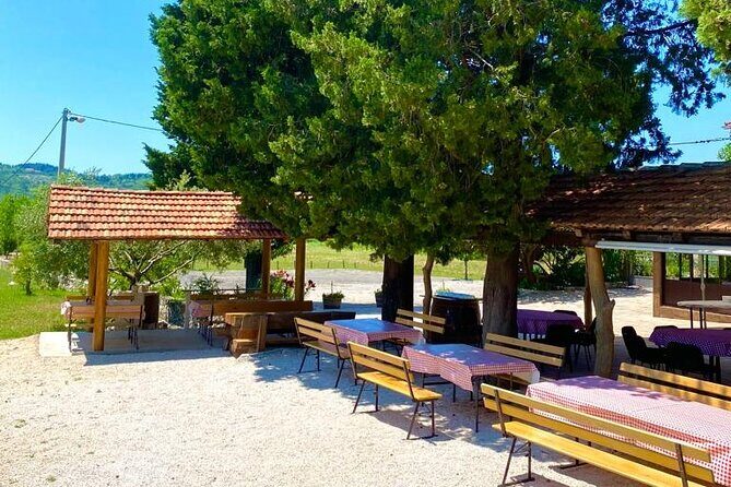 Half-Day Wine and Food Tasting from Dubrovnik - Who Should Book This Tour?