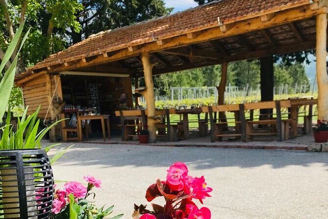 Half-Day Wine and Food Tasting from Dubrovnik - Final Verdict