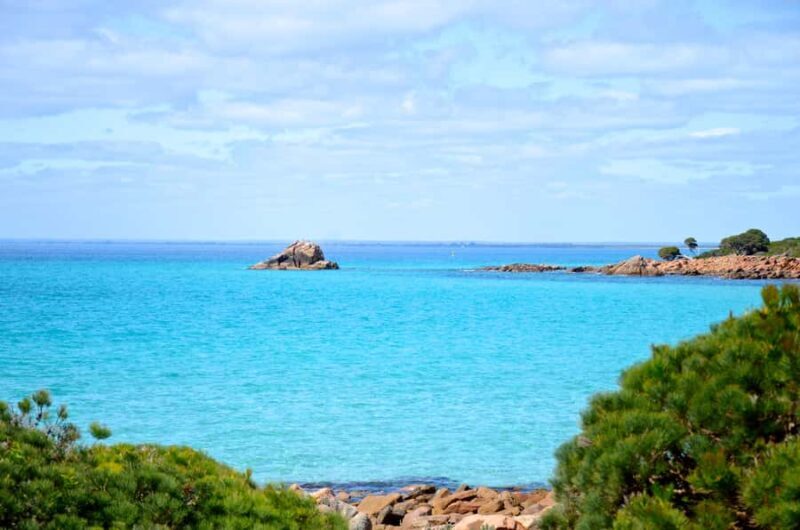 Half day Wine and Sights Discovery Tour Busselton - Introduction