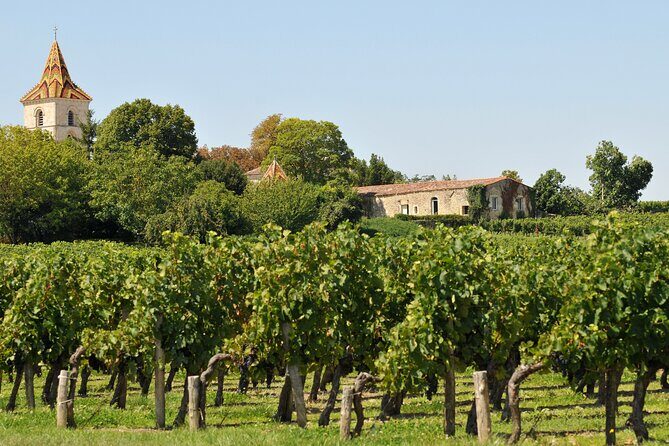 Half-Day Wine tour across Bordeauxs Vineyards - FAQs
