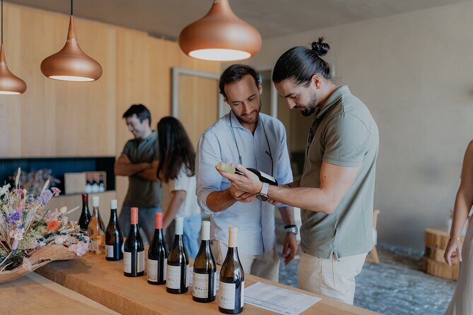 Half Day Wine Tour Around Evora - Exploring the Half Day Wine Tour Around Évora