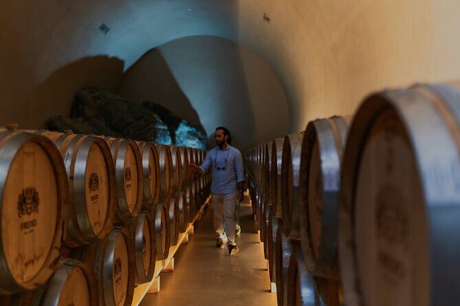 Half Day Wine Tour Around Evora - FAQs