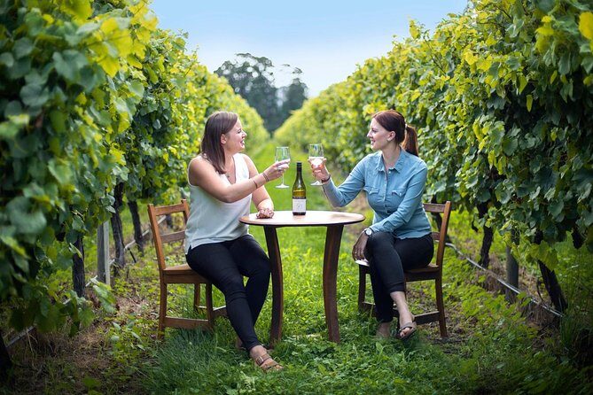 Half-Day Wine Tour from Picton - Key Points