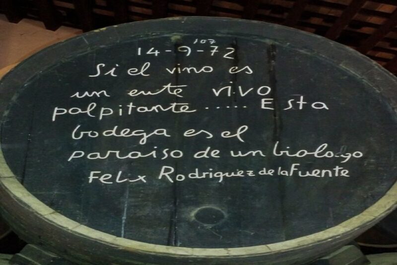 Half-Day Wine Tour in Andalusia in small group - A Closer Look at the Tour Itinerary