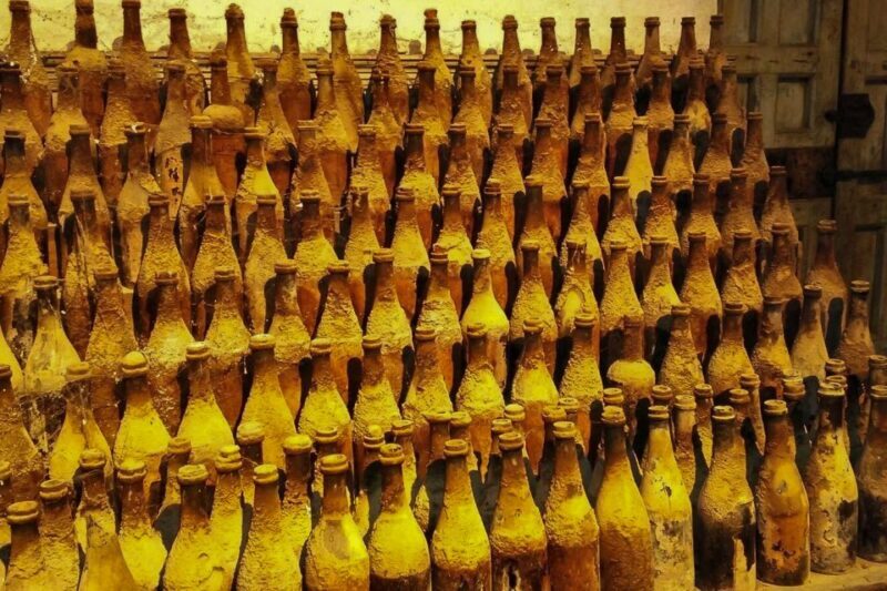 Half-Day Wine Tour in Andalusia in small group - Authentic Experiences and Real Traveler Insights