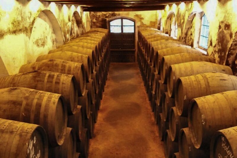 Half-Day Wine Tour in Andalusia in small group - Who Will Love This Tour?