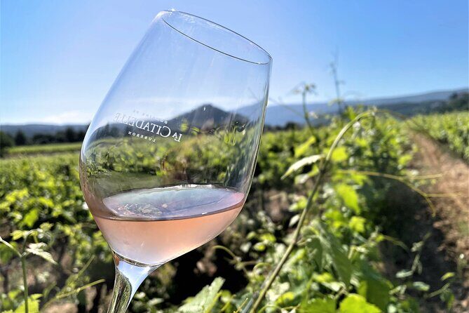 Half day Wine Tour in Bandol & Cassis from Aix en Provence - An In-Depth Look at the Tour Experience