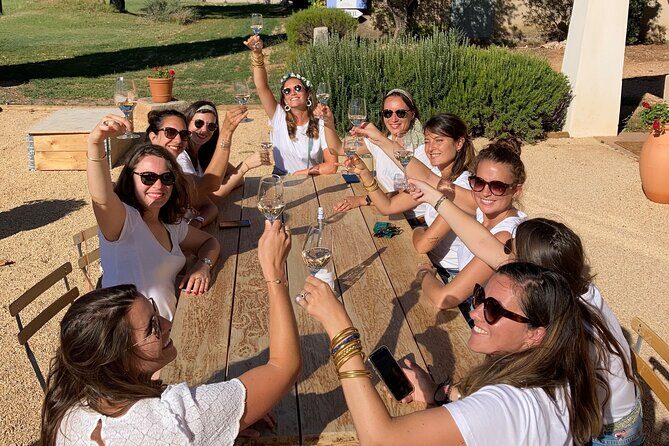 Half day Wine Tour in Côtes de Provence Sainte-Victoire from Aix en Provence - Key Points