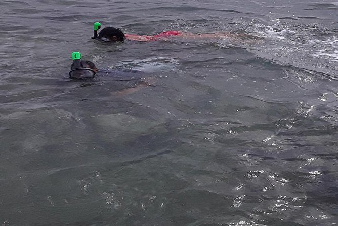 Half Island West side history/ snorkel tour - Final Thoughts