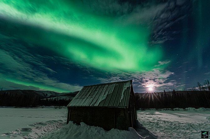 Half Night Personalized Aurora Chase and Photography - Duration and Pricing: Good Value for the Right Traveler