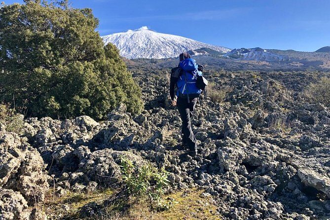 Half or full day trekking on Etna with private guide - Scenic Vistas and Unique Landscapes