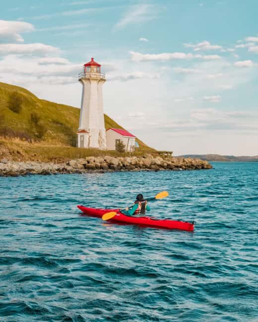 Halifax: Georges Island Kayak Tour - Introduction