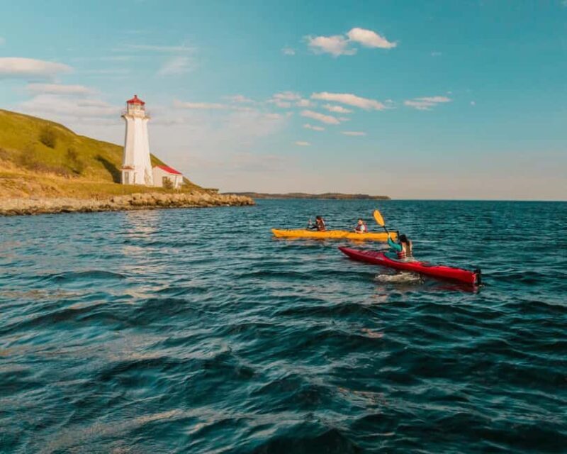 Halifax: Georges Island Kayak Tour - Practical Details and What to Bring