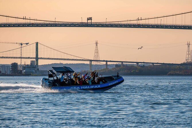 Halifax Harbour Historical & Wildlife High-Speed Tour - A Deep Dive into the Halifax Harbour Experience