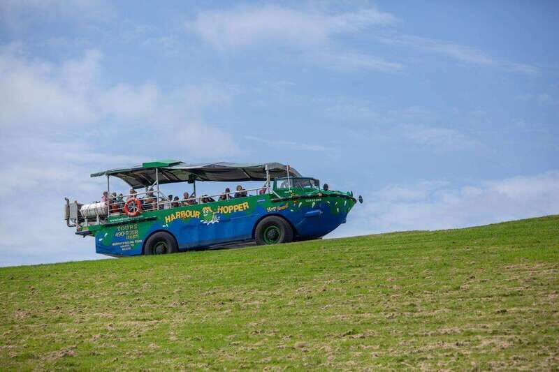 Halifax: Harbour Hopper City & Water Cruise in a Duck Boat - Practical Details