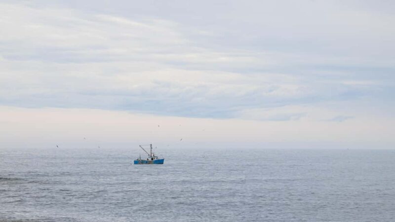 Halifax Small-Group Express Peggys Cove Tour - Final Thoughts