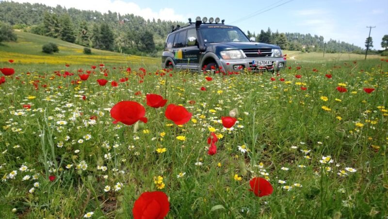 Halkidiki: Kassandra 4x4 Jeep Safari Off-Road Experience - Authentic Experiences and Authentic Guides
