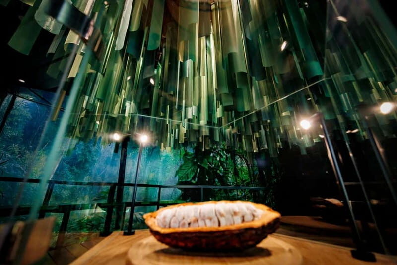 Hamburg: Chocoversum Guided Tour with Tastings - Why This Tour Works