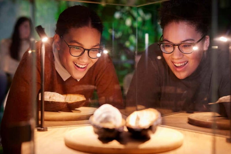 Hamburg: Chocoversum Guided Tour with Tastings - The Sum Up