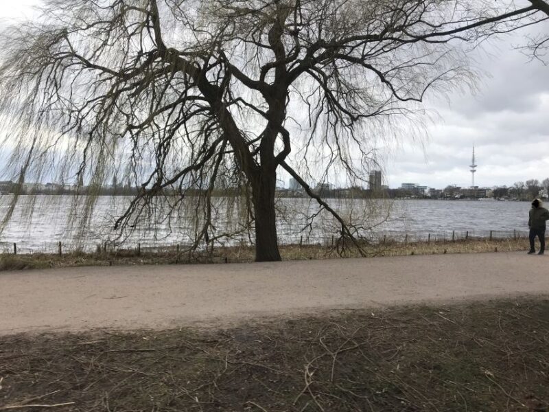 Hamburg: Line C Sightseeing Hop-On Hop-Off Bus Tour - Authentic Experiences from Travelers