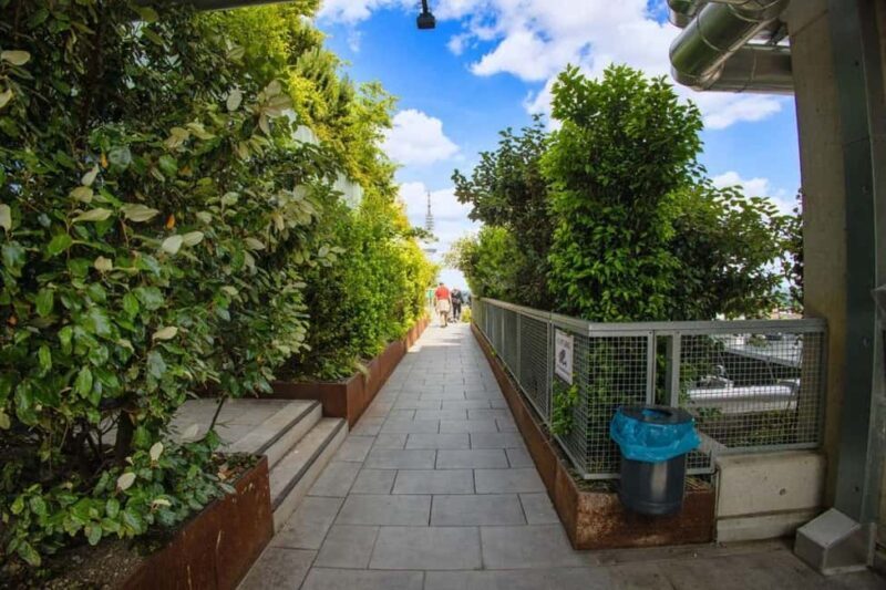 Hamburg: Walking tour of the Green Bunker in St. Pauli - Exploring the Roof Garden