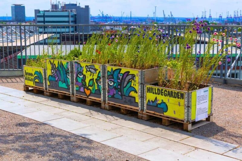 Hamburg: Walking tour of the Green Bunker in St. Pauli - Considerations for Visitors