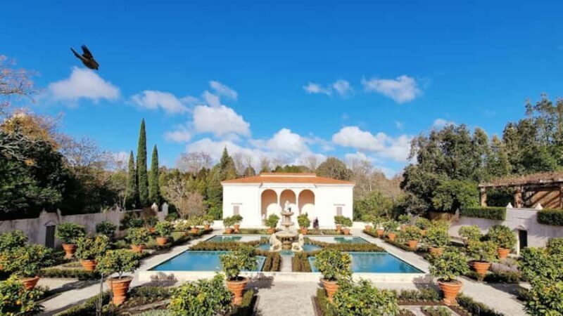 Hamilton Gardens: 30 min Ecological River Cruise - Transportation, Duration, and Group Size