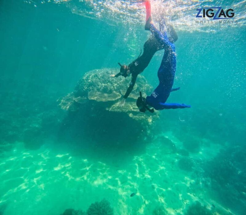 Hamilton Island: Whitsundays Sunset Dinner Cruise - Practical Details and Tips