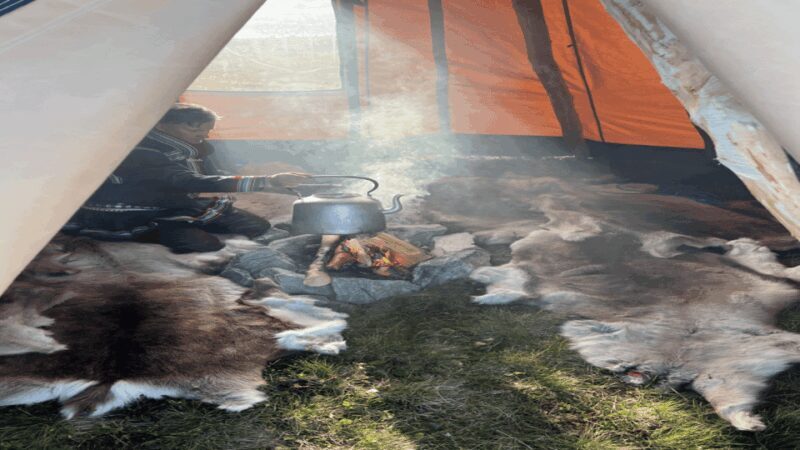 Hammerfest: Guided Tour - Meet Reindeer - Key Points