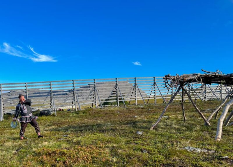 Hammerfest: Guided Tour - Meet Reindeer - An In-Depth Look at the Experience