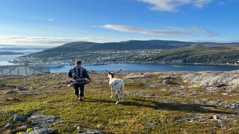 Hammerfest: Guided Tour - Meet Reindeer - Pricing, Duration, and Value
