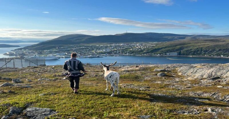 Hammerfest: Guided Tour - Meet Reindeer - Final Thoughts