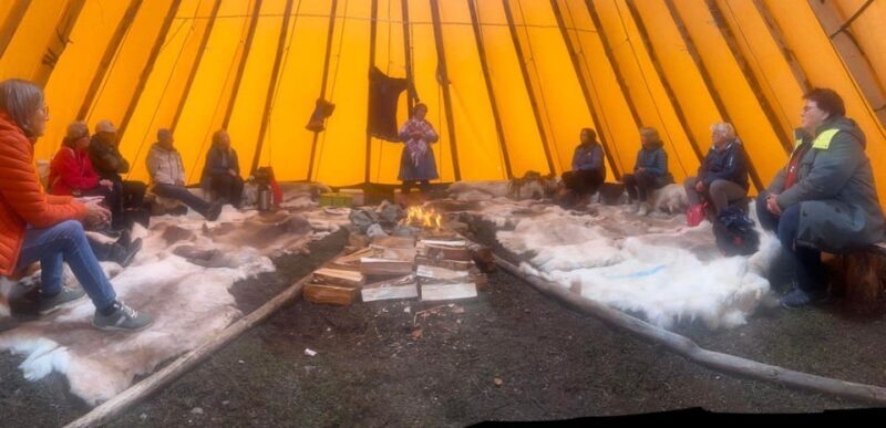 Hammerfest: Guided Tour - Meet Reindeer - The Sum Up