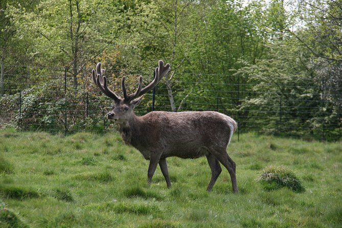 Hampton Court Palace Grounds Bike Tour - Frequently Asked Questions