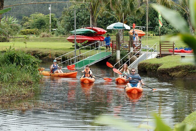 Hanalei Bay PM Kayak & Snorkel in Kauai - Who This Tour is Perfect For