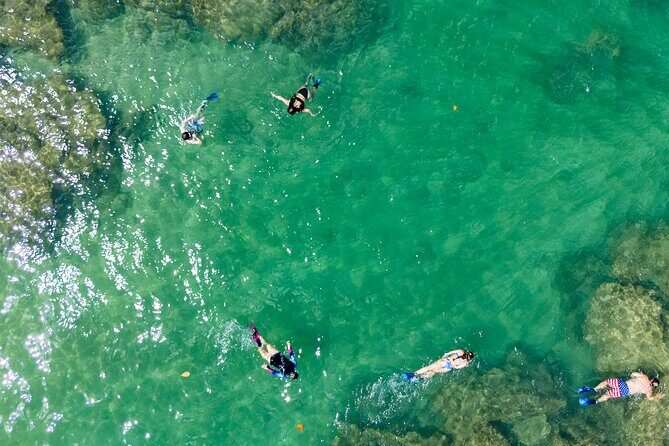 Hanalei River Paddle and Bay Snorkel Tours (LUNCH INCLUDED) - Who Is This Tour Best For?