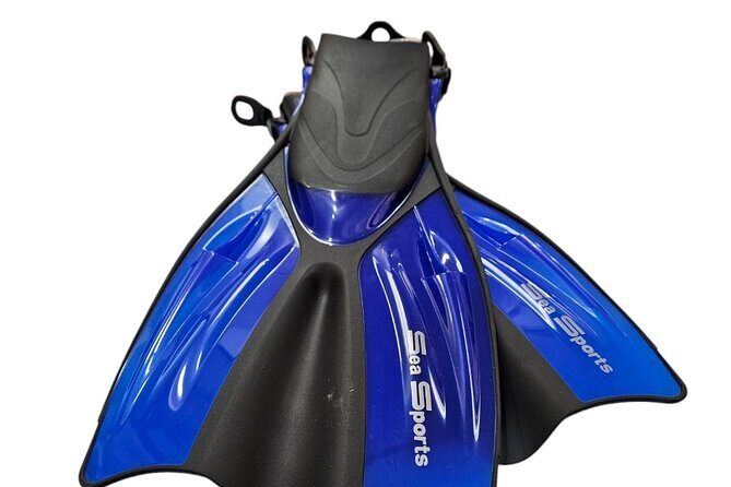 Hanauma Bay Experience with Admission Ticket and Equipment - The Sum Up