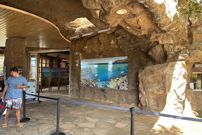 Hanauma Bay Snorkel Lesson - The Itinerary in Detail