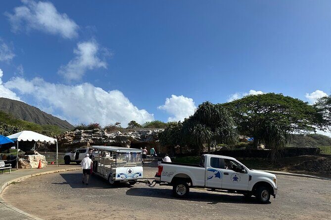 Hanauma Bay Snorkel Lesson - Is This Tour Right for You?